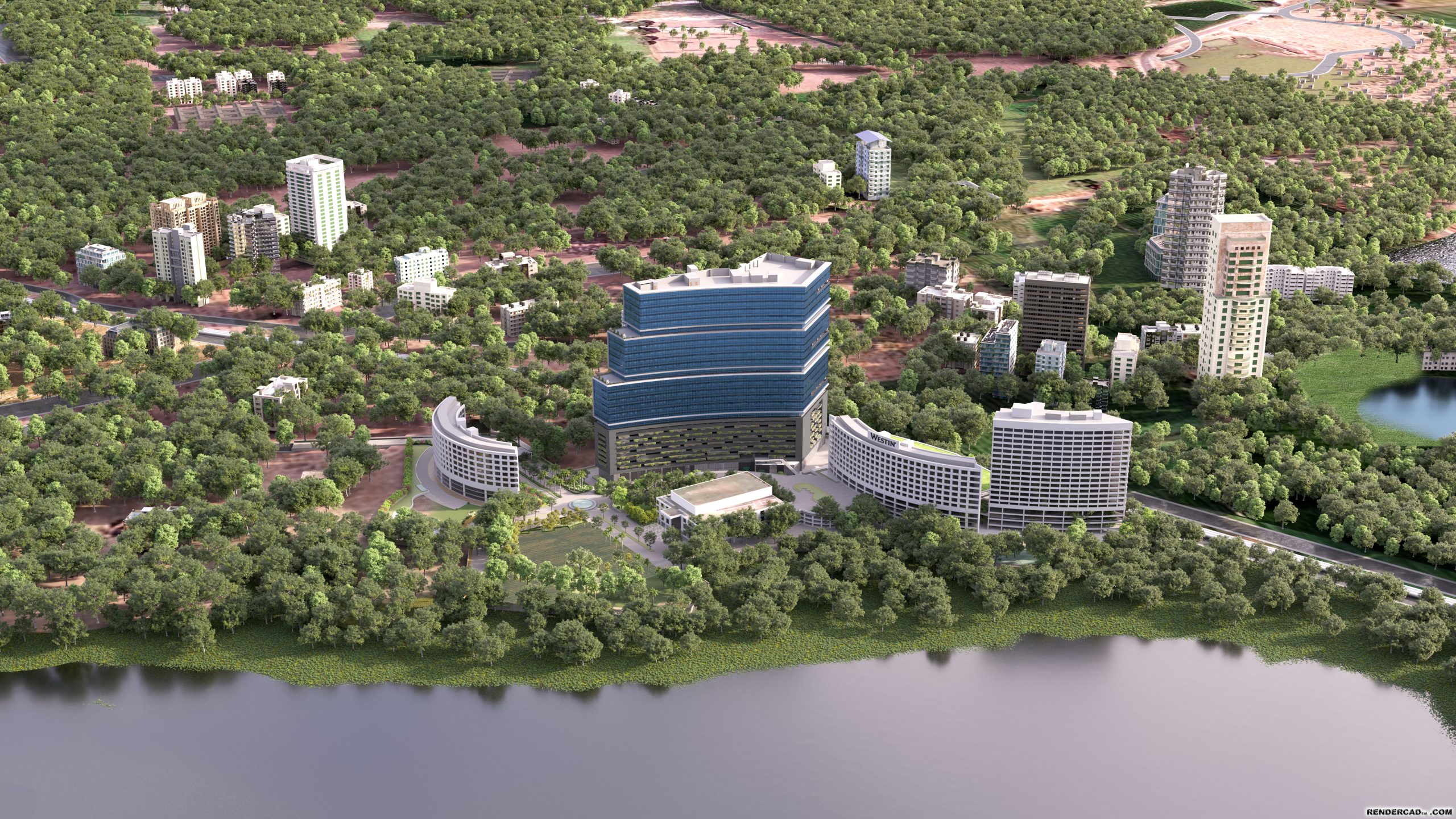 Welcome to Cignus | Gallery