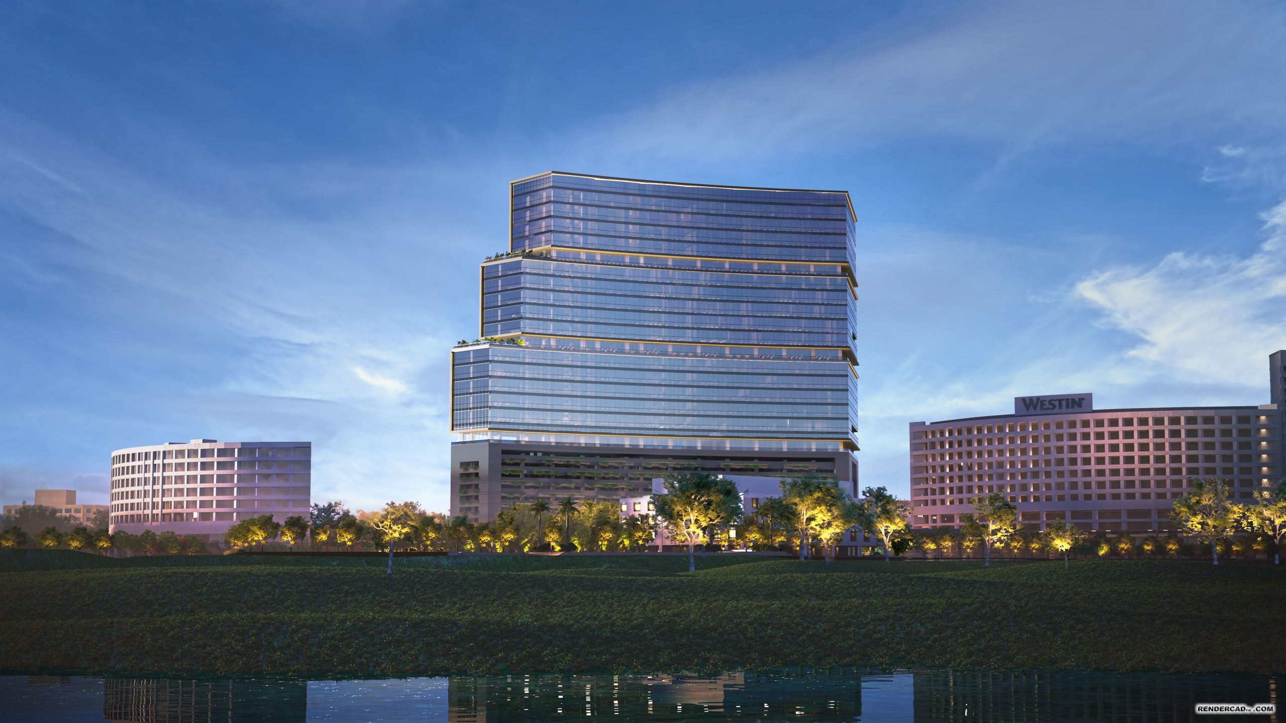 Welcome to Cignus | Gallery